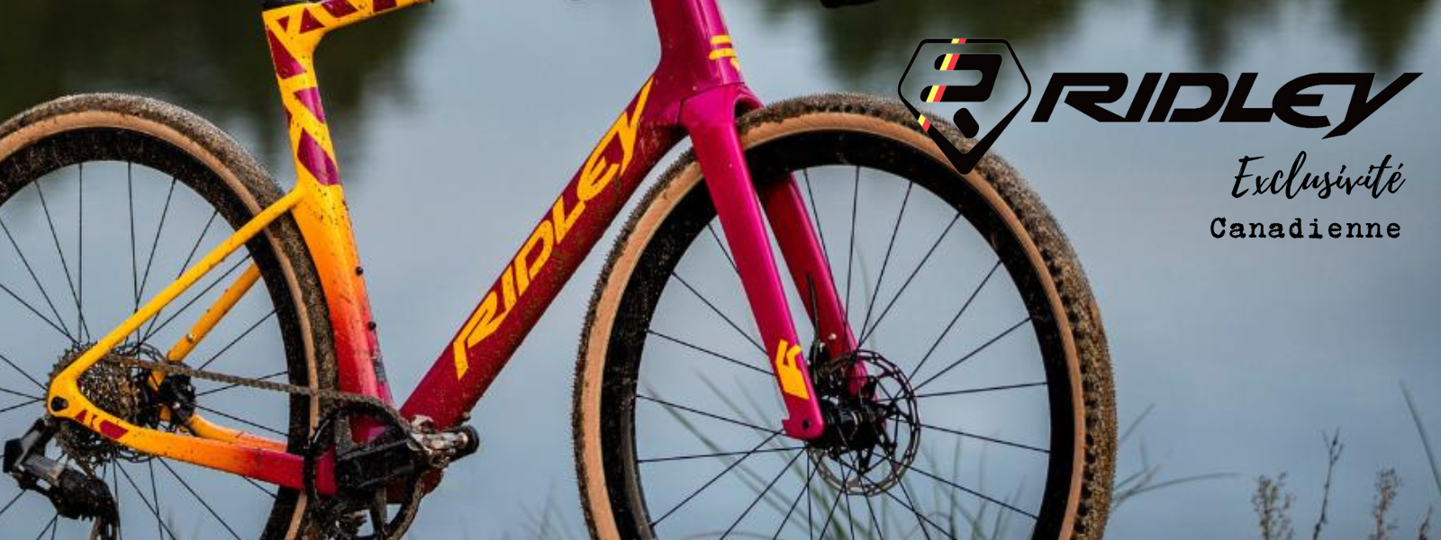 Studio Cycle Maglia Rosa 👚 : Service de pointe et expertise